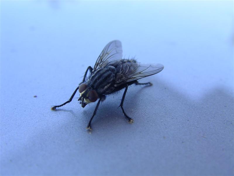 Digitalfotos Bernhard Sandkühler